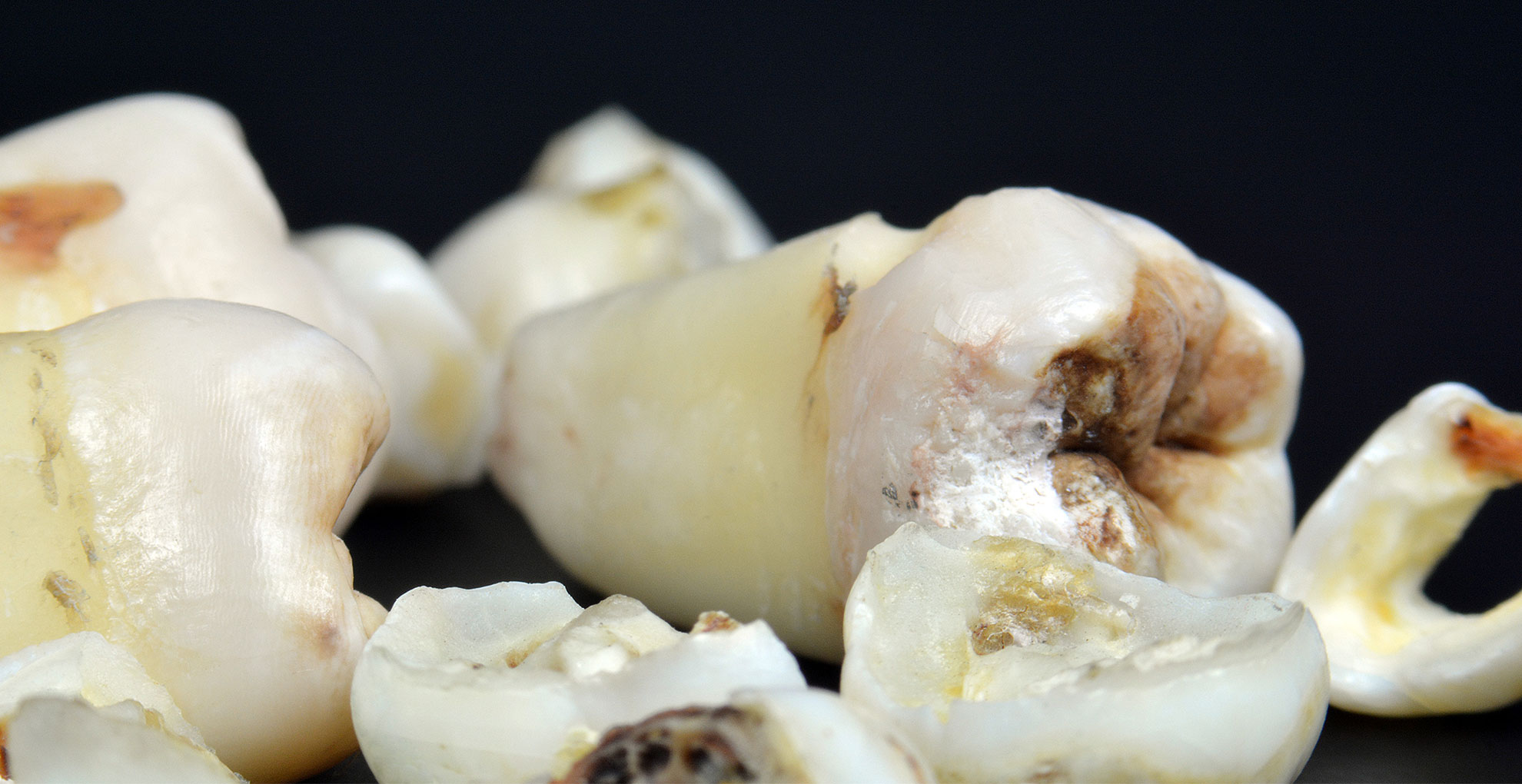 Colgate Oral Health Network